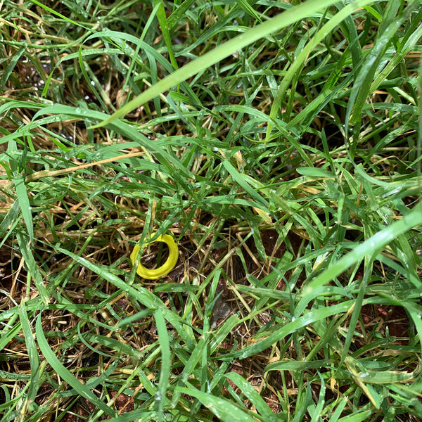 Easy To Spot Yellow Hose Washers by DieHard Nozzles and Garden Tools 1 ...